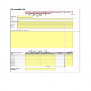 30 Editable Financial Plan Templates - Besty Templates