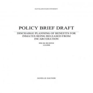 45 Official Policy Brief Templates - Besty Templates