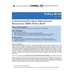 45 Official Policy Brief Templates - Besty Templates